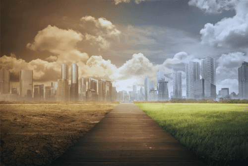 CASE STUDY - PHOENIX COMPANY - Waterstone