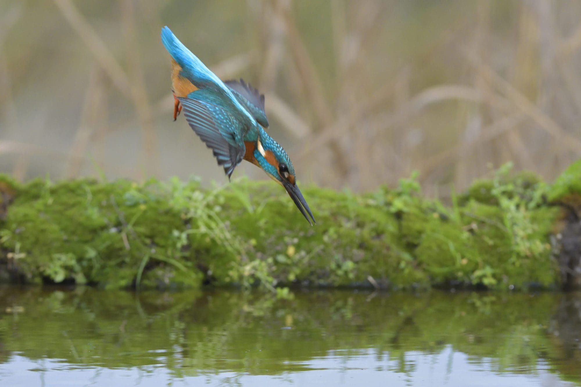 COVID-19 and the next economic recession - Waterstone